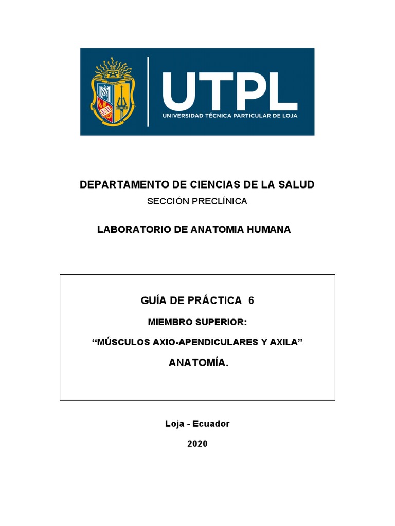 Anatomía de Músculos Axilares y Pectorales | PDF | Medicina | Sistema ...