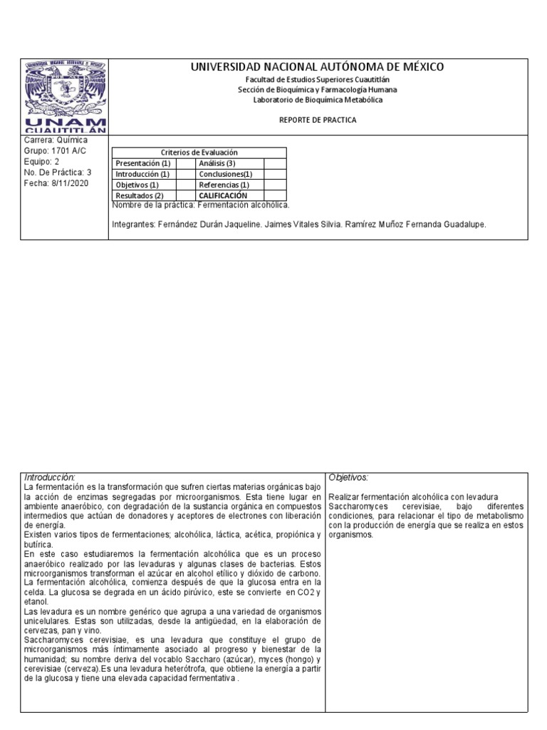 Reporte Practica 3. Eq2-1 | PDF | Fermentación | Levadura