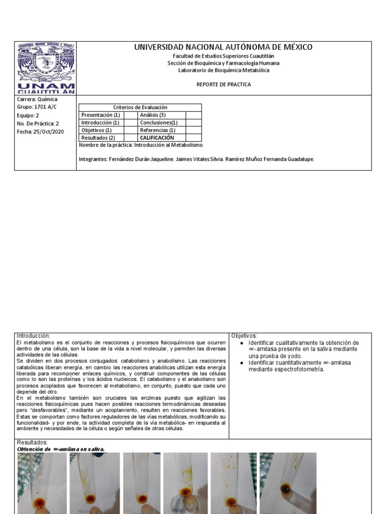 Introducción Al Metabolismo - Eq.2-1 | Descargar gratis PDF ... Introducción Al Metabolismo - Eq.2-1 | Descargar gratis PDF ...