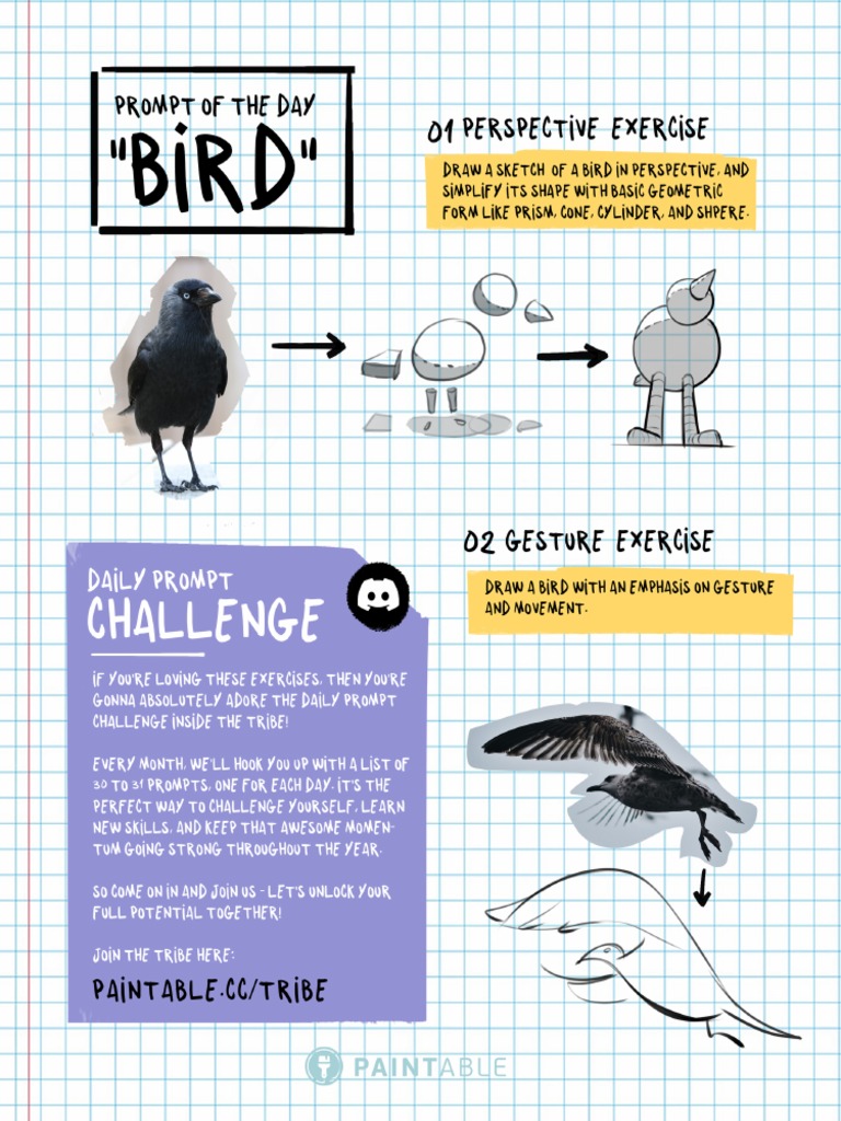 Doodle Drills - Daily Drawing Drills For Any Level | PDF