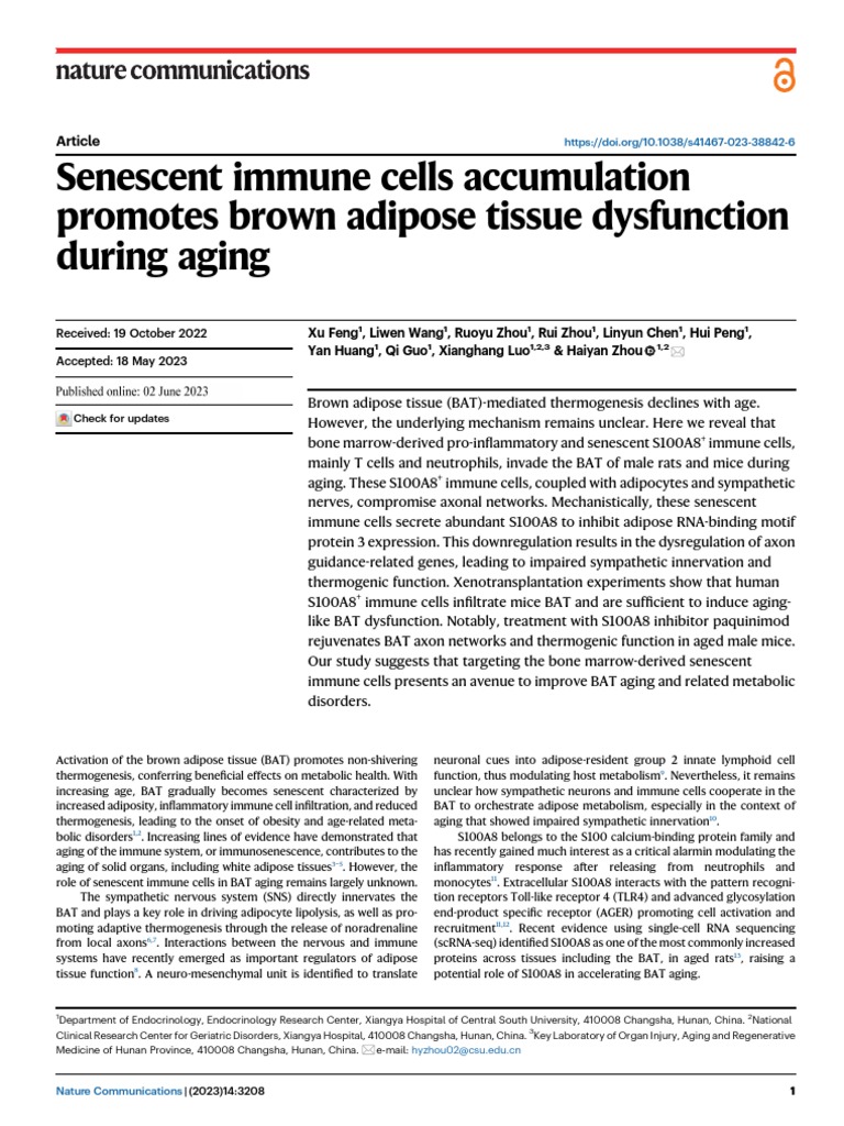 Senescent Immune Cells Accumulation Promotes Brown Adipose Tissue ...
