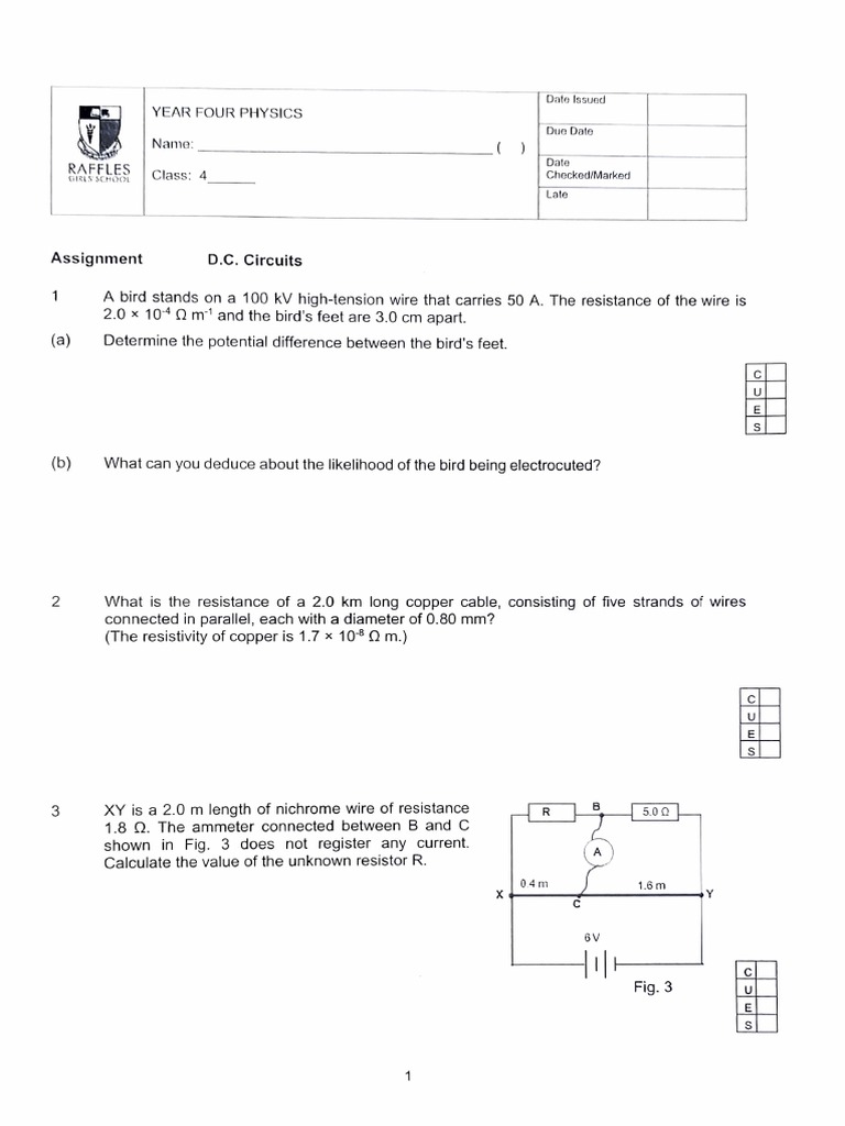 Physics D.C. Circuits Assignment | PDF | Electrical Resistance And Conductance | Voltage
