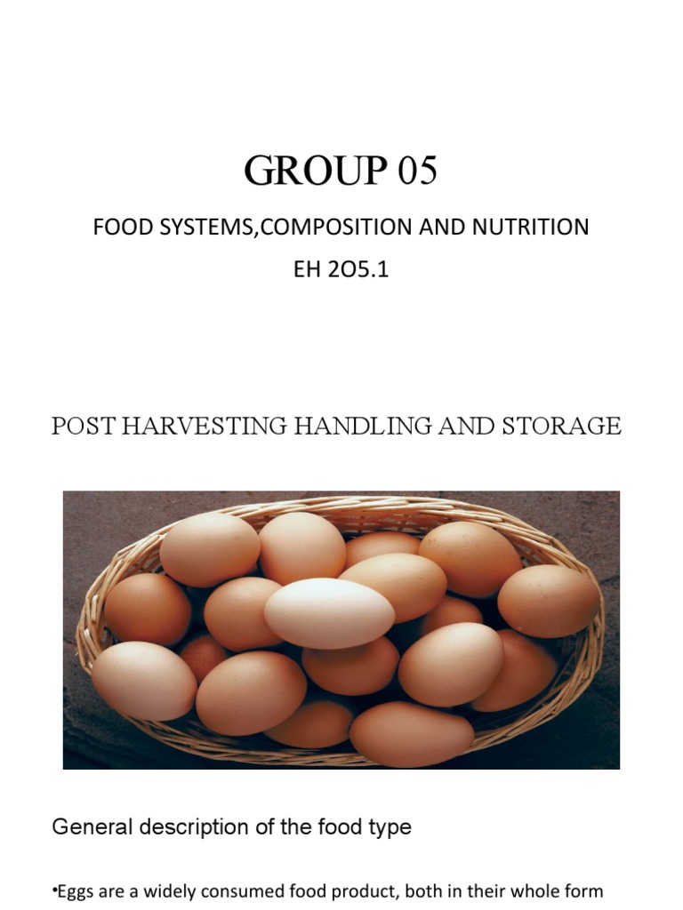Group5 Eggs | PDF | Wellness