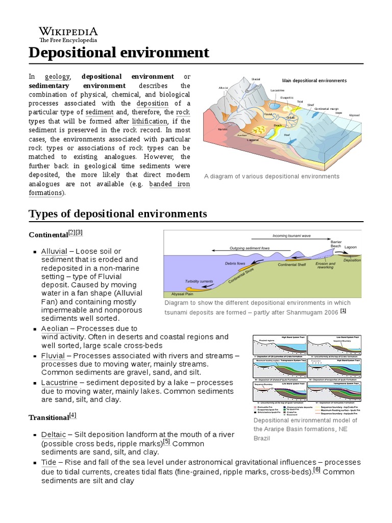 Depositional Environment | PDF | Sediment | Sedimentary Rock