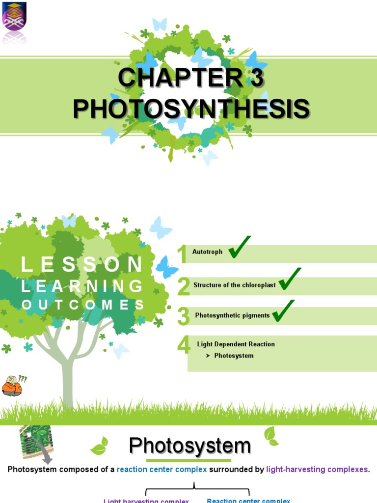 Bio150 Chapter 3 - Part 3 | PDF | Photosynthesis | Chlorophyll