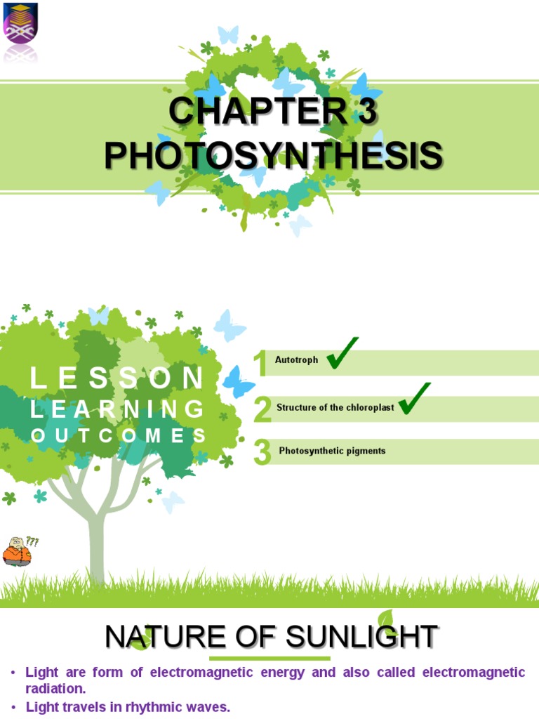 Bio150 Chapter 3 - Part 2 | PDF