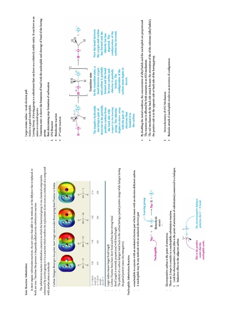 A4 Bond Paper | PDF