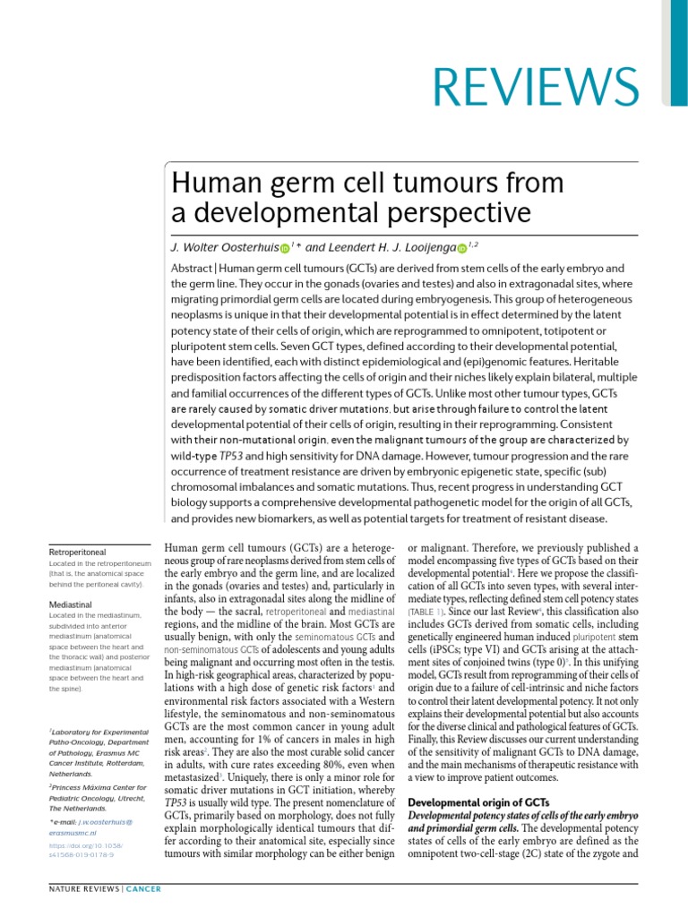2019.-Human Germ Cell Tumours From A Developmental Perspective | PDF ...