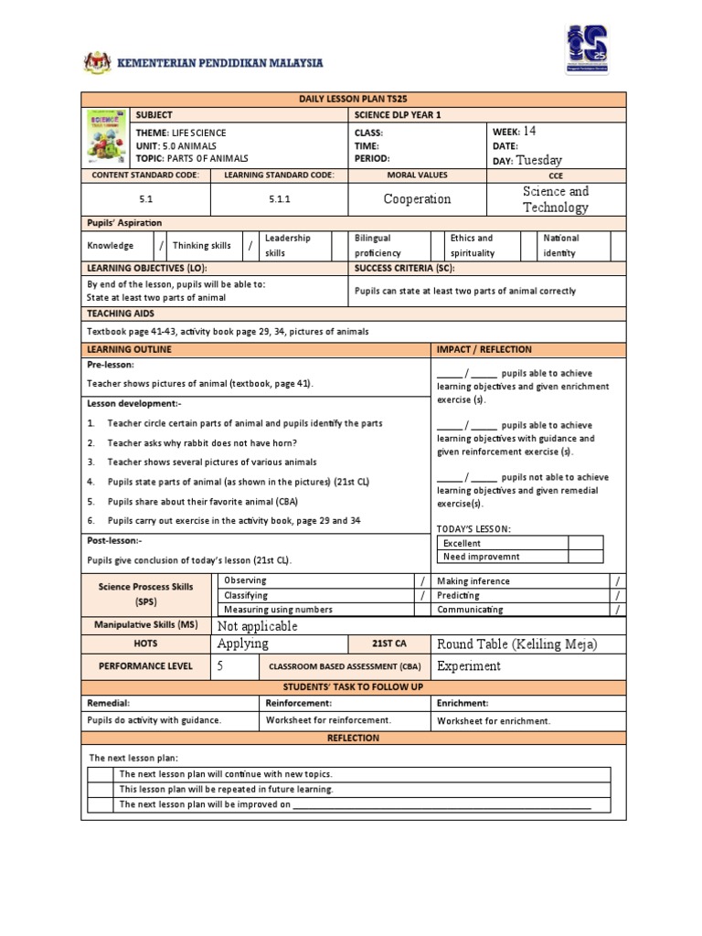 SC DLP Y1 Ts25 (Unit 5) | PDF