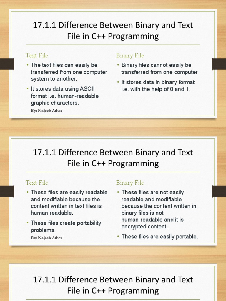 17 File Handling Pdf Text File Computer File