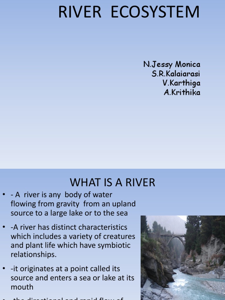 River Ecosystem | PDF | Water Resources | River