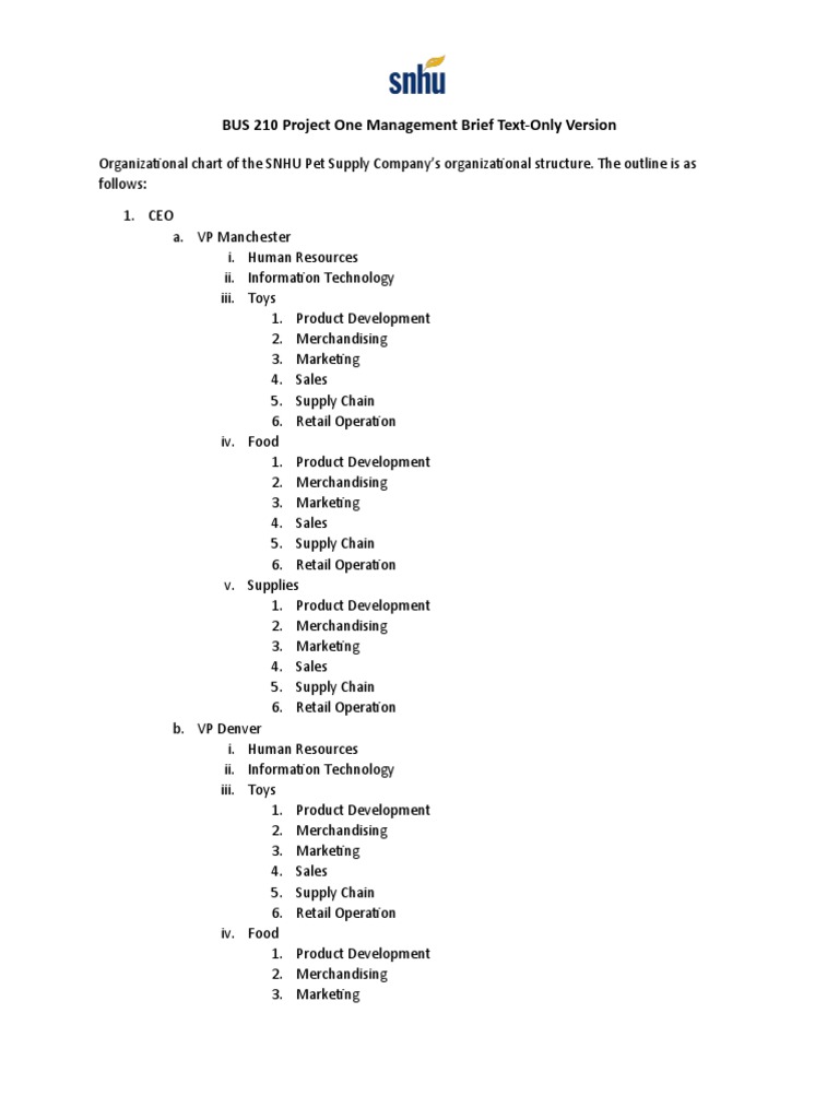 BUS 210 Project One Management Brief Text-Only Version | PDF