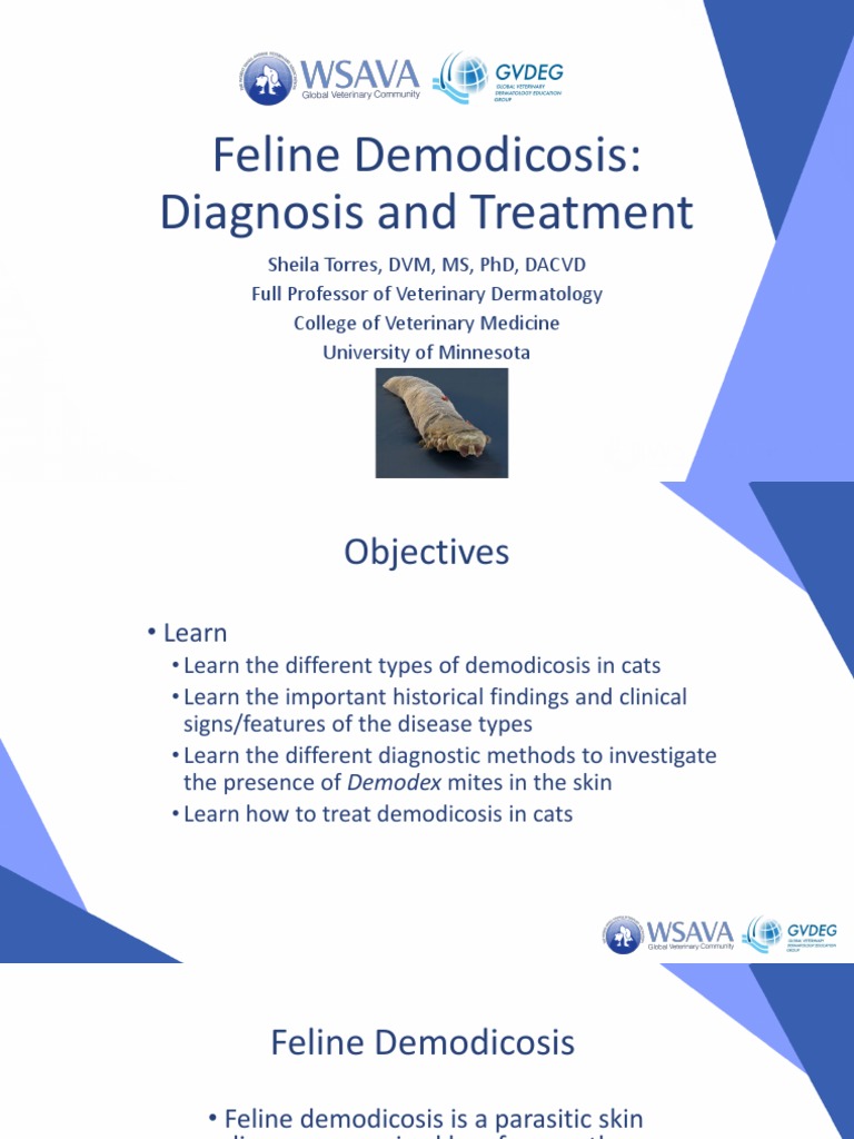 Feline Demodicosis: Diagnosis & Treatment Guide | PDF | Epidemiology ...