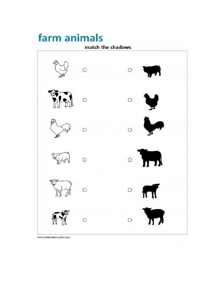 Farm Animals Shadow | PDF