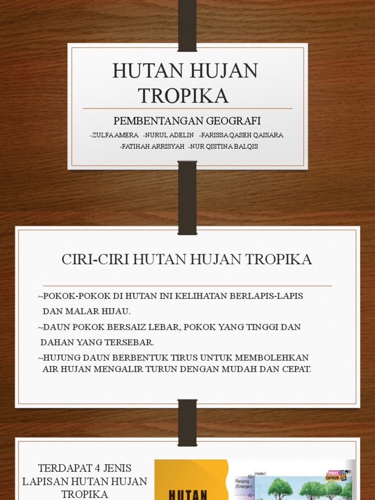 HUTAN HUJAN TROPIKA Geo Presentation | PDF