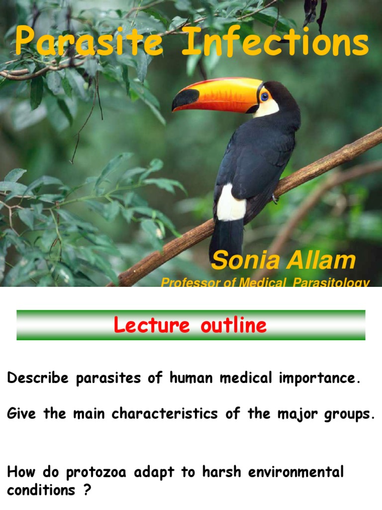 Parasite | PDF | Protozoa | Parasitism