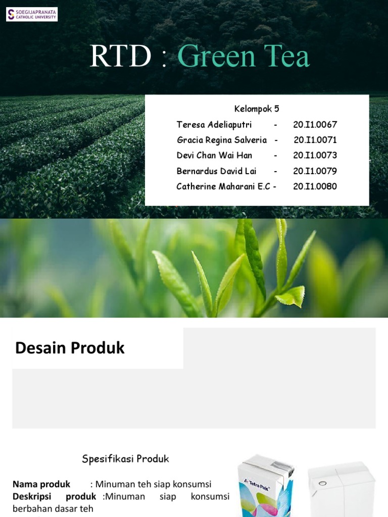 13-06-23 Pres A05 RTD Teh Utilitas | PDF