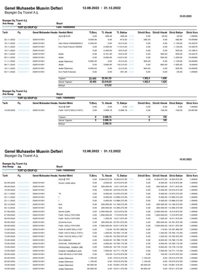 Satıcı Muavin | PDF