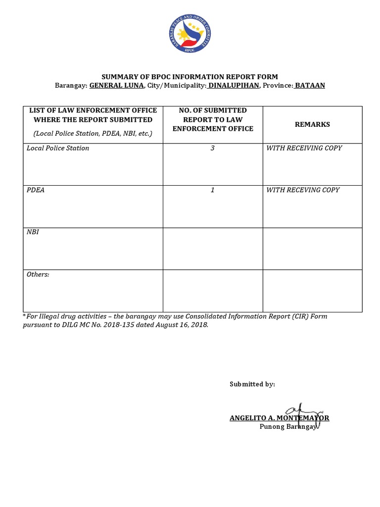 Summary of Barangay Information Report Form | PDF