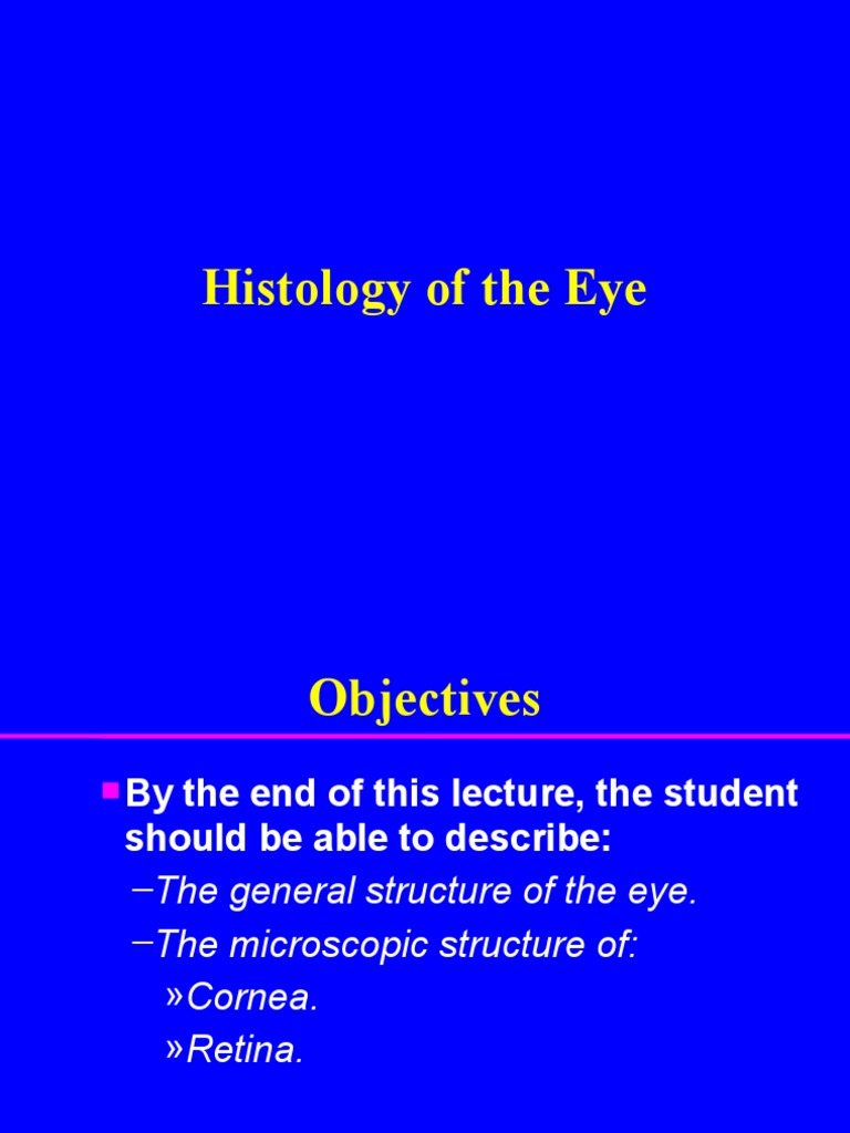 Eye Histology Overview and Structures | PDF
