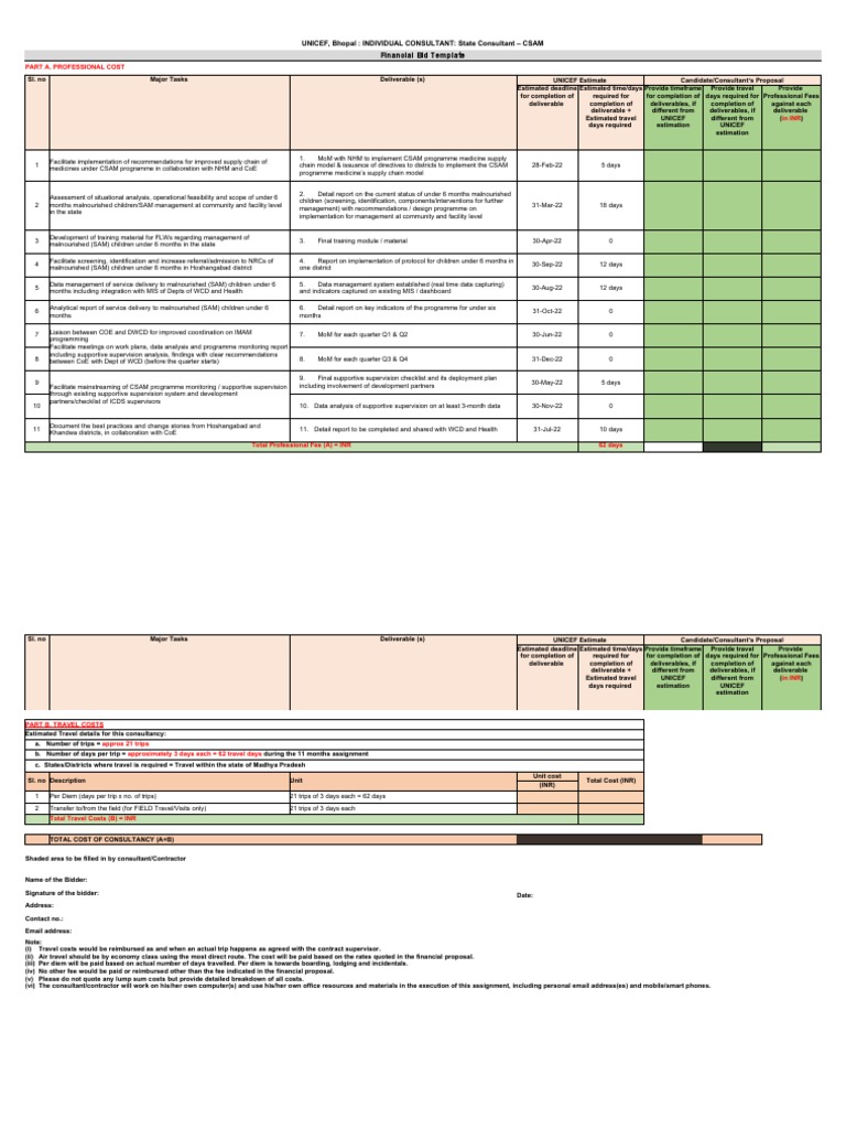 UNICEF Financial Bid Template for Consultants | PDF
