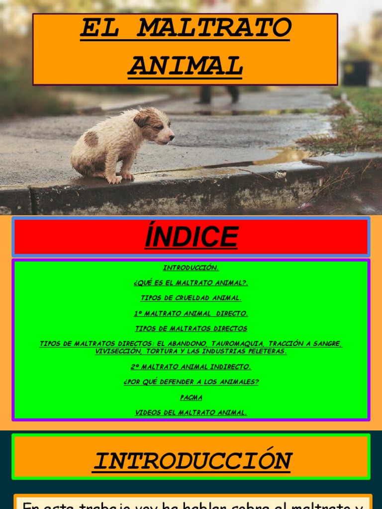 El Maltrato Animal | PDF | Crueldad hacia los animales | Animales y humanos