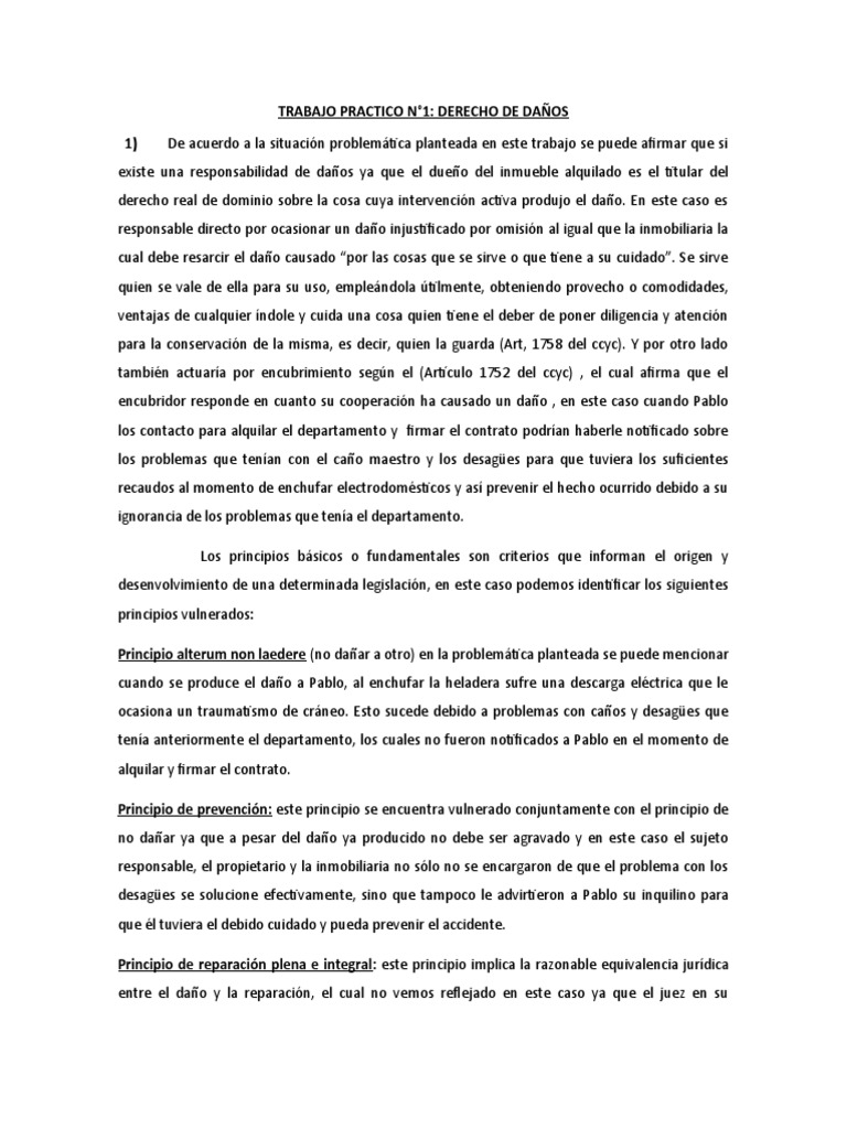 Trabajo Practico n1 Daños Milagro Ritzer | PDF | Daños y perjuicios | Justicia