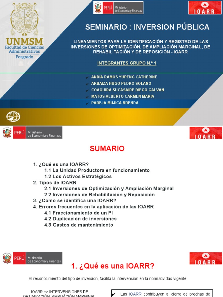Lineamientos Para La Identificación Y Registro De Las | Pdf 
