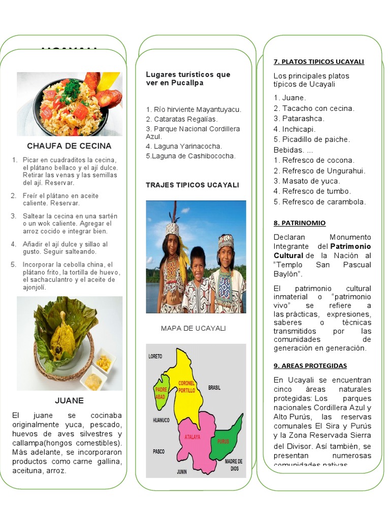 UCAYALI | PDF