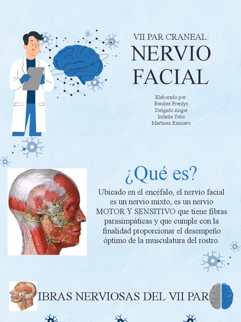 Vii Par Craneal_ Nervio Facial (1) | PDF