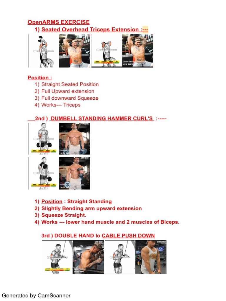 Biceps and Triceps Exercise's | PDF