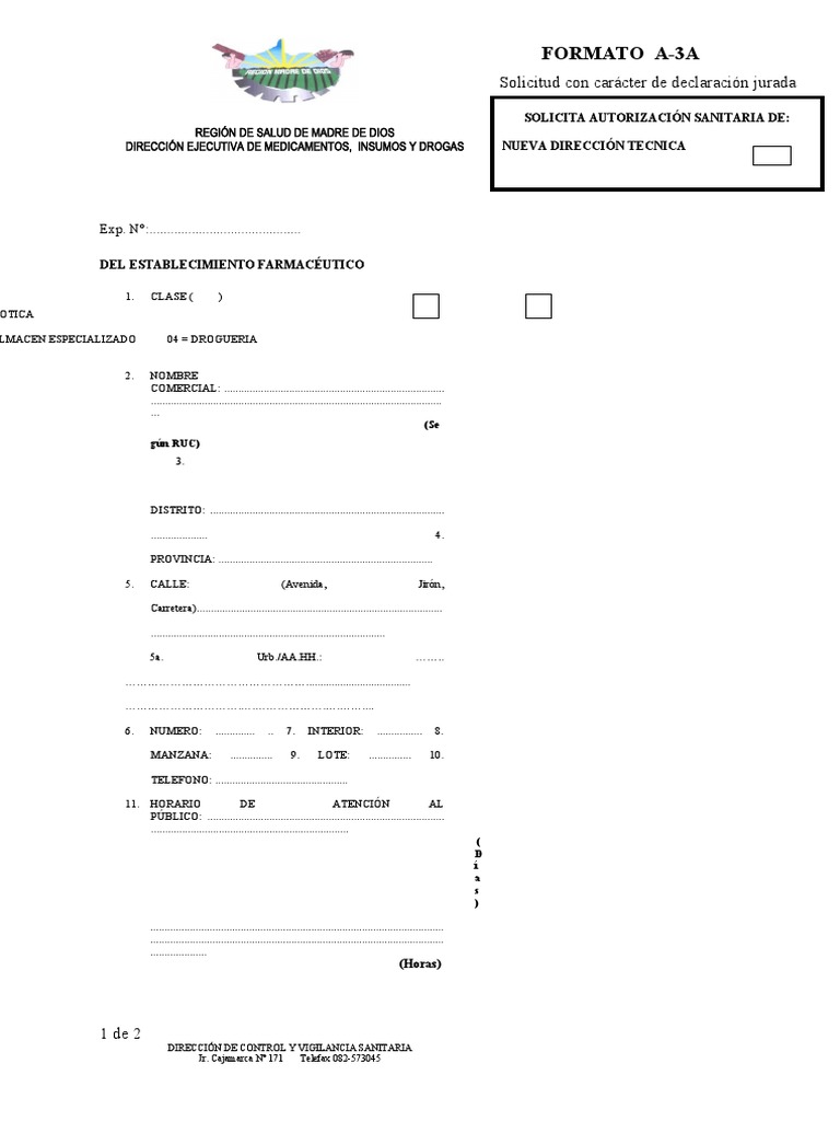 Formato de Nueva Dirección Tecnica | PDF