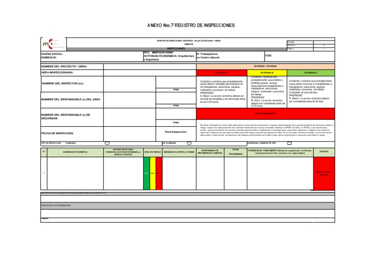 Anexo Nro 7 Registro de Inspecci N General | PDF