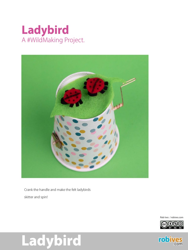 DIY Dancing Ladybird Craft | PDF | Sports & Recreation | Home & Garden