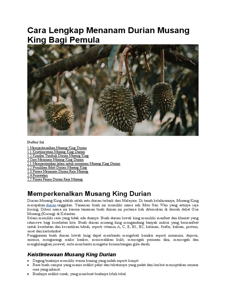 Cara Lengkap Menanam Durian Musang King Bagi Pemula | PDF