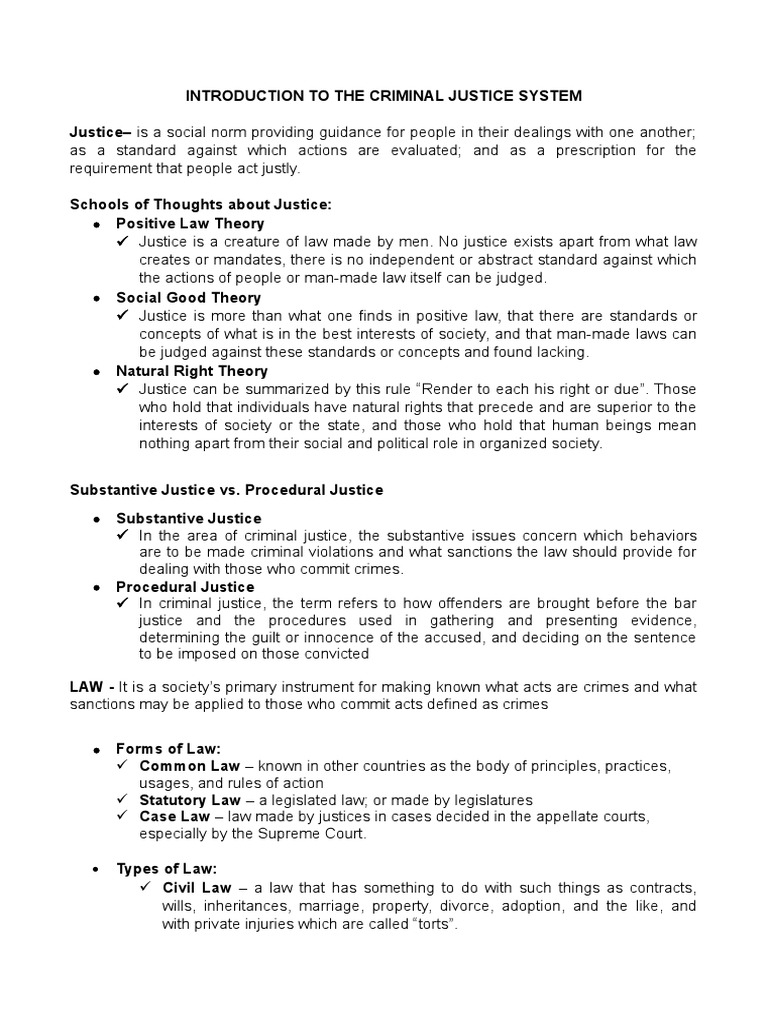 Introduction To The Criminal Justice System | PDF