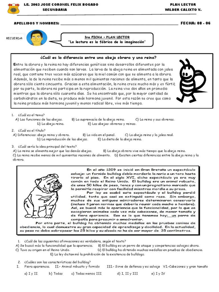 3ra Ficha de Plan Lector | PDF | Abejas | Apicultura