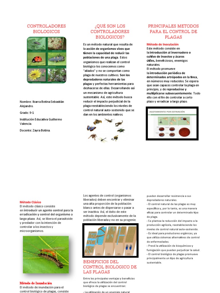 Plegable Controladores Biologicos | PDF | Control biológico de plagas | Plaga (organismo)