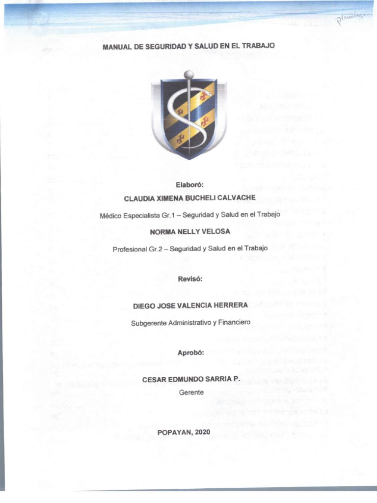 Manual de Seguridad y Salud en El Trabajo | PDF