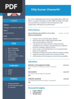 FAANGPath Simple Template 3 | PDF