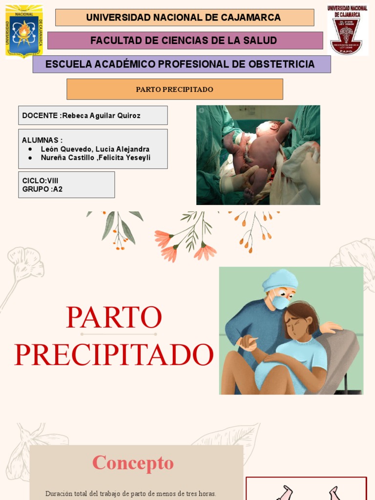 Parto precipitado | PDF | Parto | Cuidado de la salud