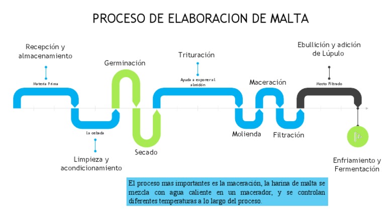 Proceso de Elaboracion de Malta | PDF