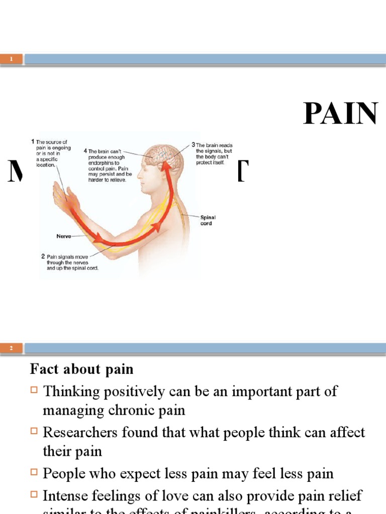 Pain Management | PDF | Pain | Opioid