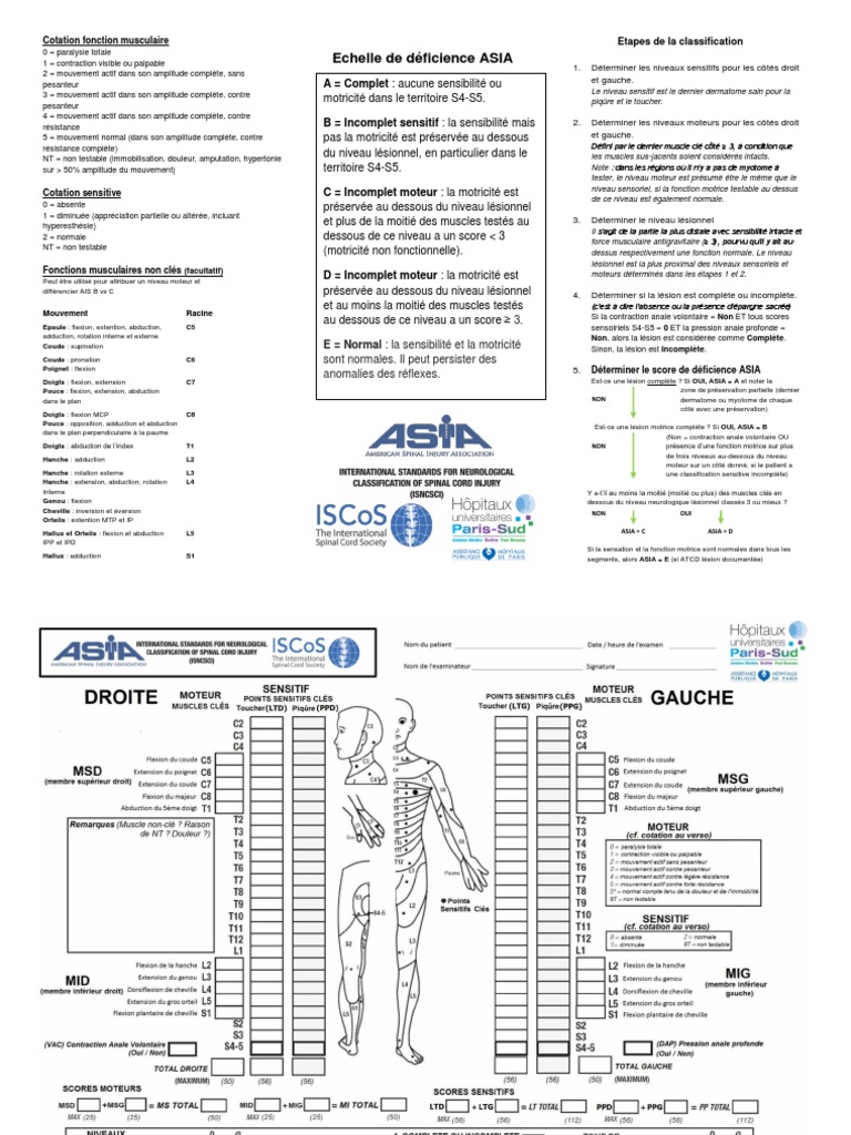 Échelle ASIA : Cotation et Classification | PDF | Muscle squelettique ...