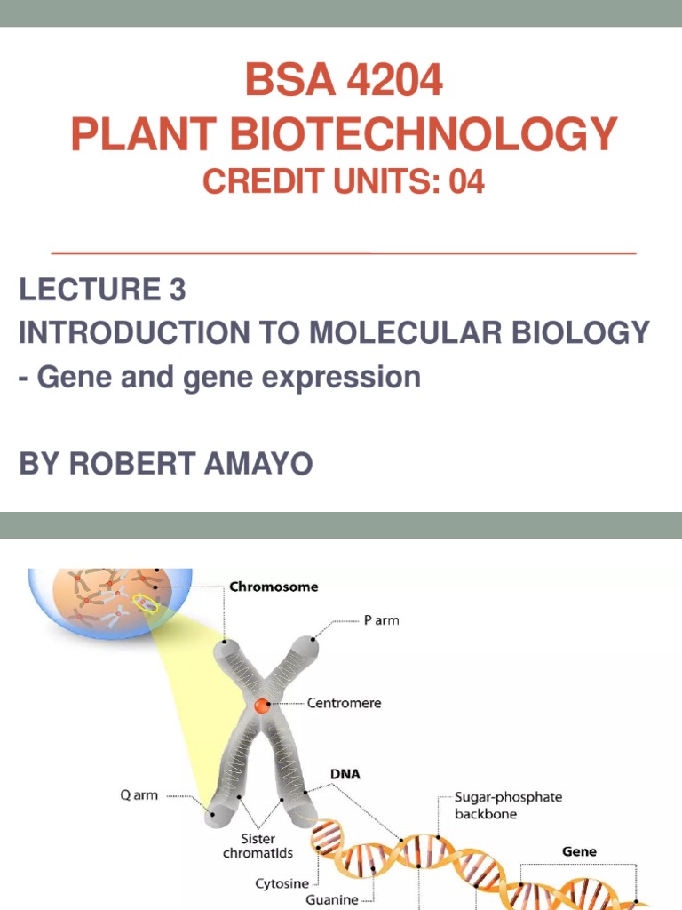 Introduction To Plant Biotechnology-Lecture 3 | PDF