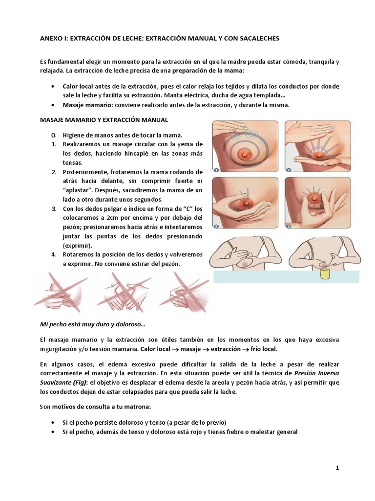 Pasos para la Extracción Manual de Leche | PDF | Pecho | Leche