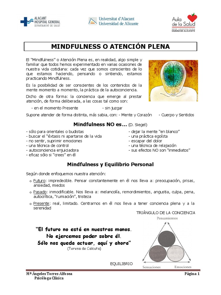 10 Mindfulness O Atencion Plena Pdf Las Emociones Pensamiento