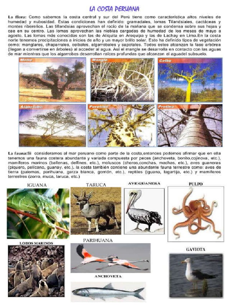 Flora y Fauna Costa Peruana | PDF