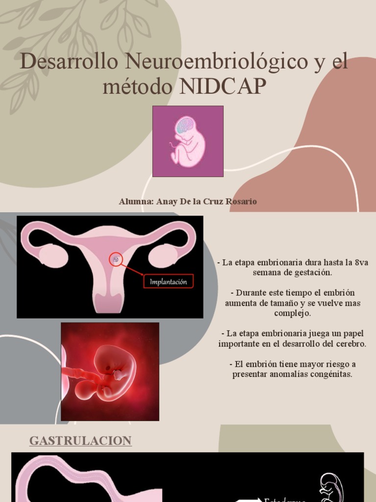 Desarrollo Neuroembriológico y El Método NIDCAP | PDF