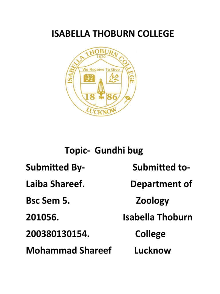 Gundhi Bug Zoo | PDF | Rice | Insects